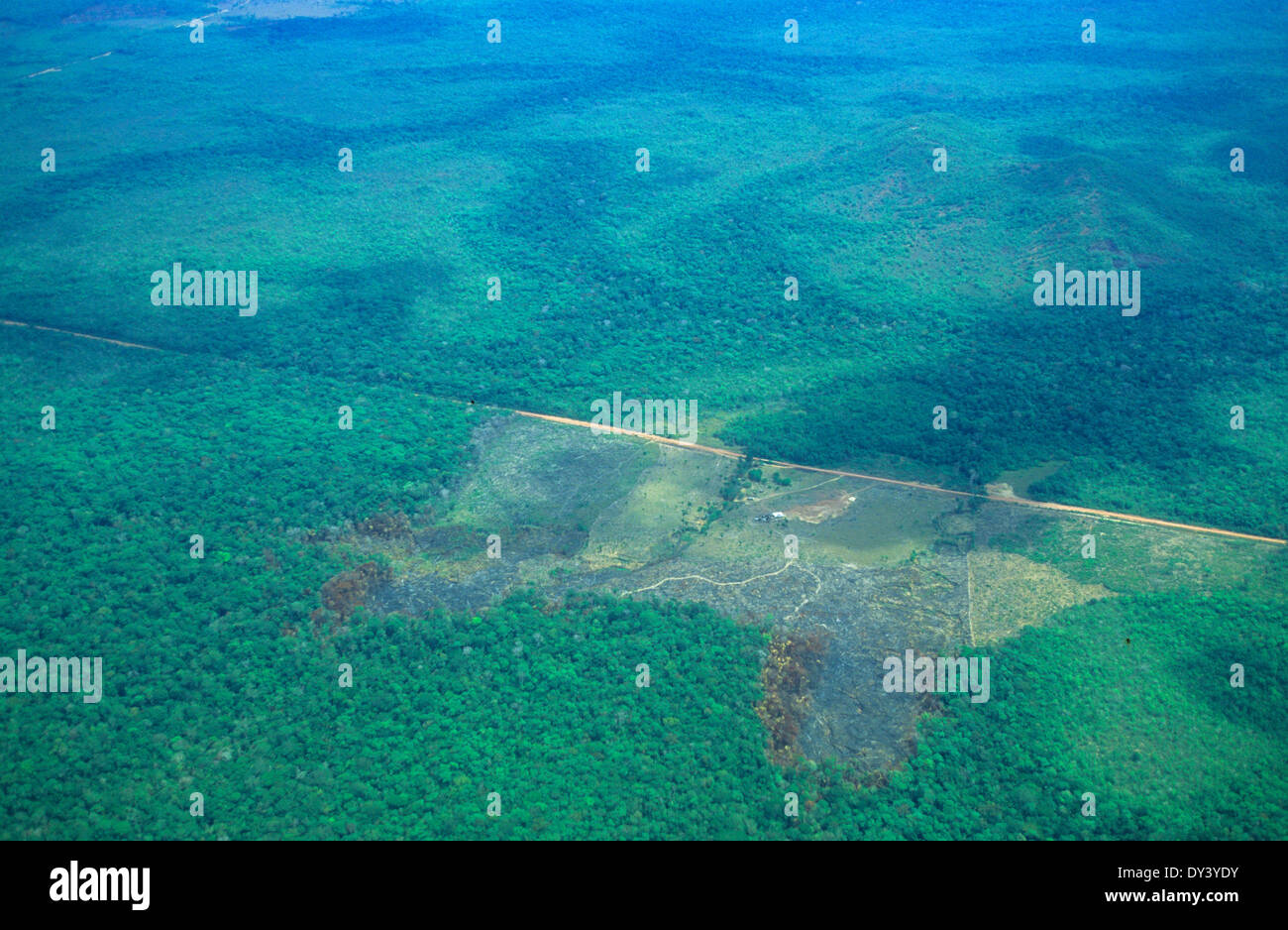 Agriculture and rural development encroaching on primary rainforest ...