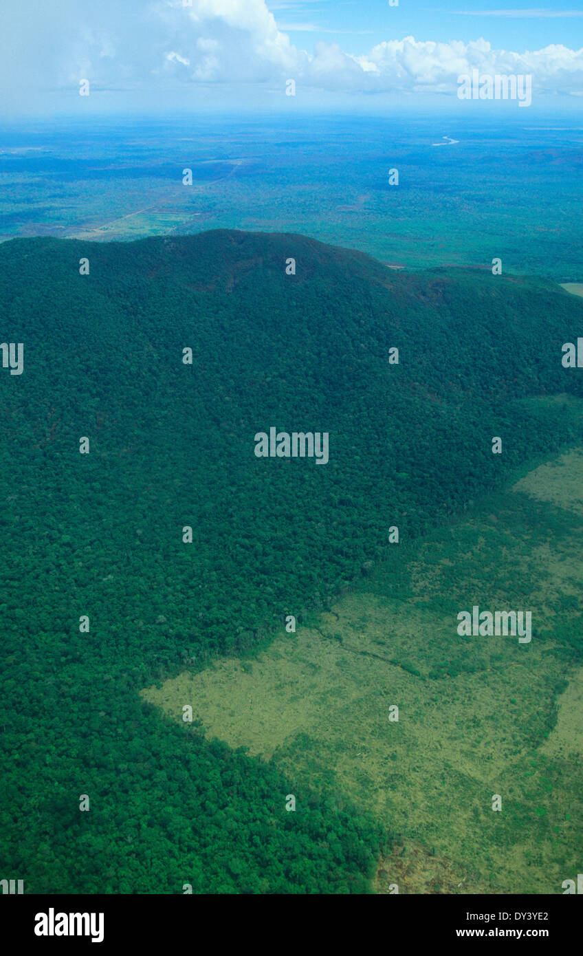 Amazon Rainforest Devastation Deforestation Brazil High Resolution ...