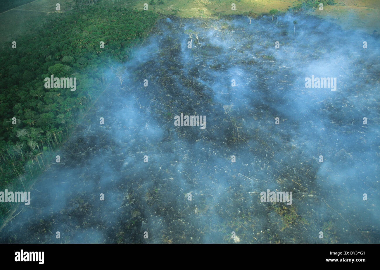 Aerial photos of rainforest habitat, forest fires, slash and burn ...