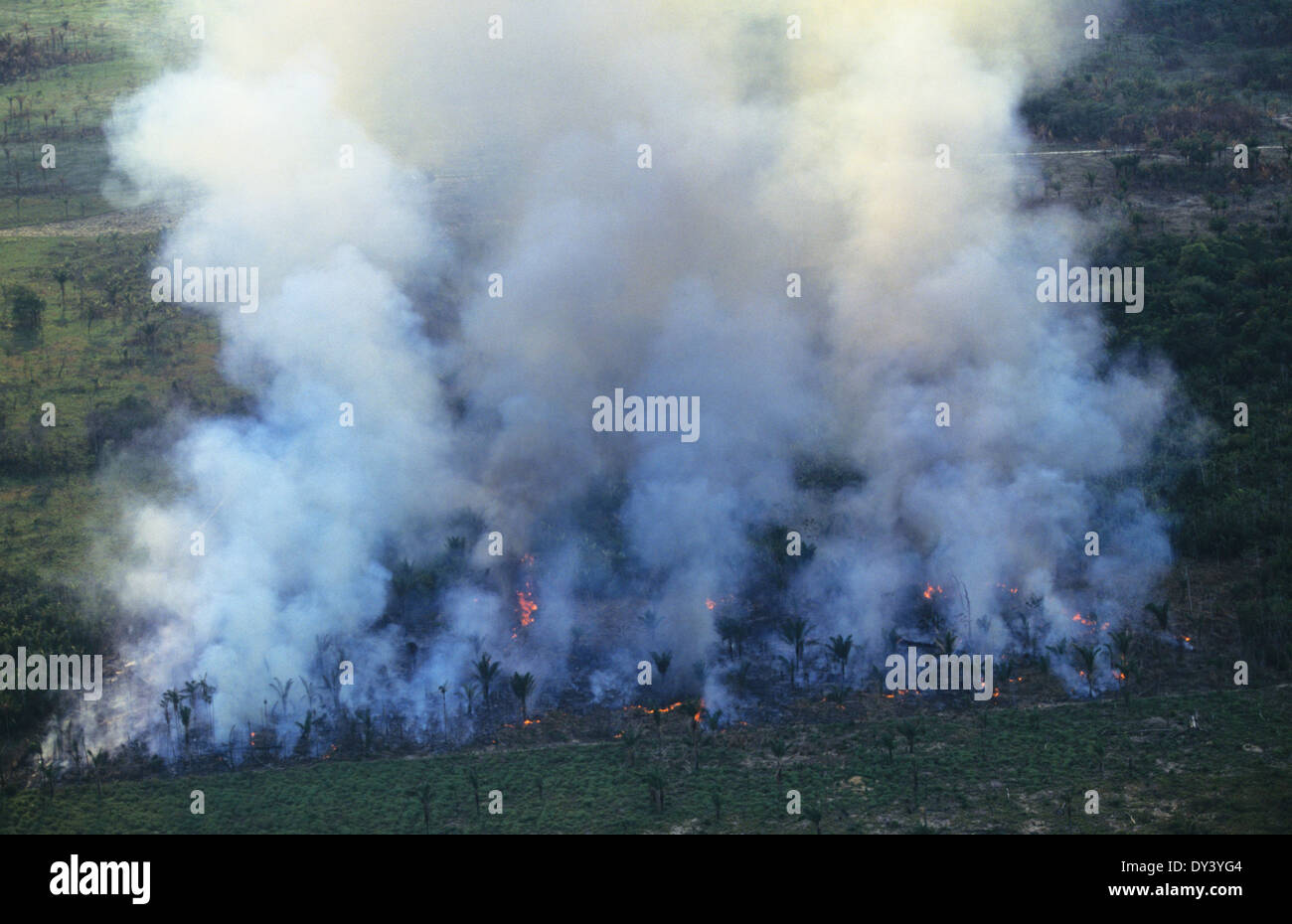 Aerial photos of rainforest habitat, forest fires, slash and burn ...