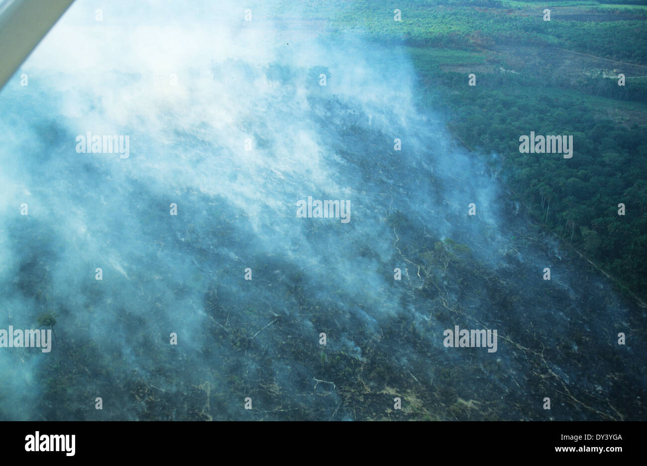 Aerial photos of rainforest habitat, forest fires, slash and burn ...