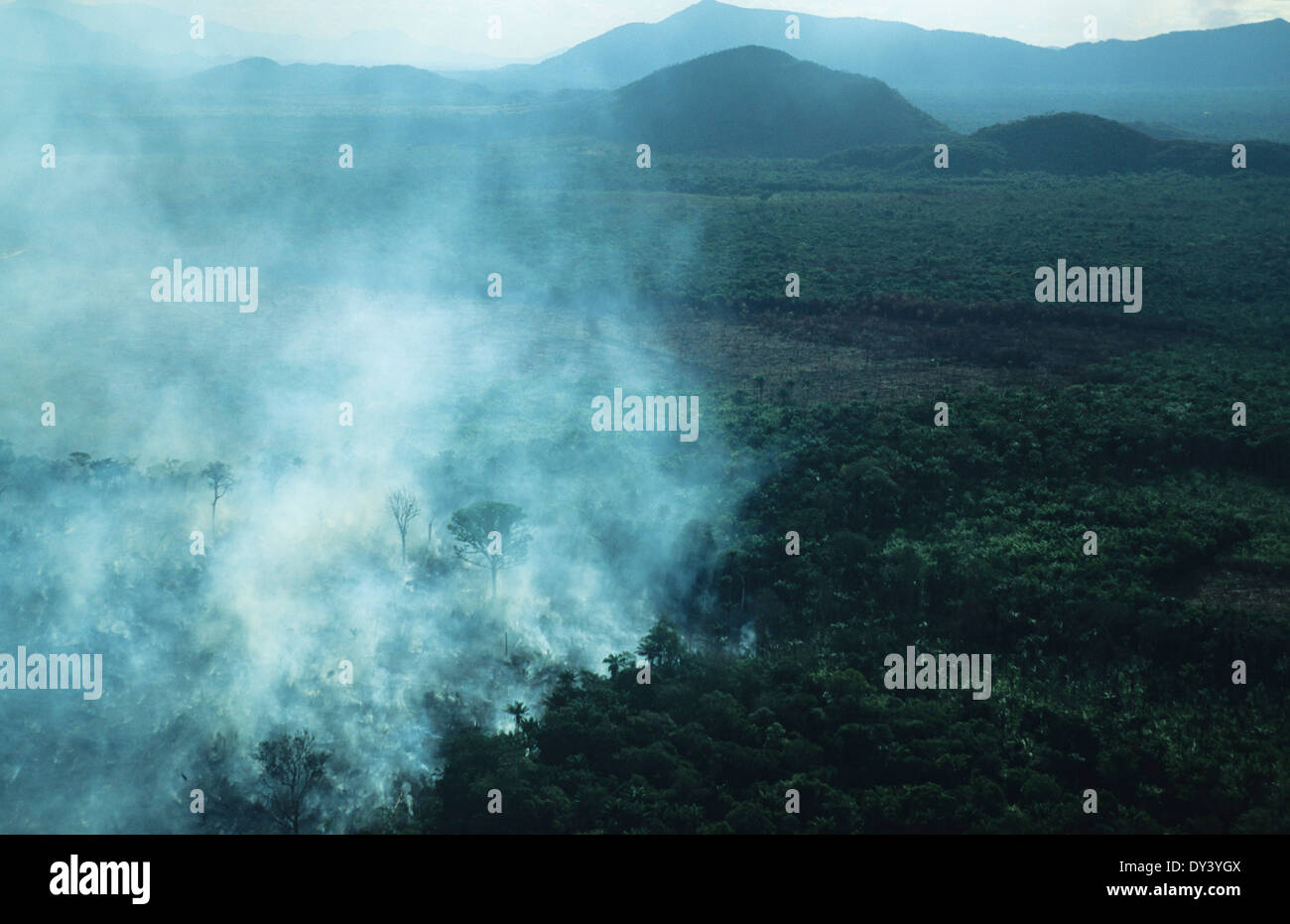 Aerial photos of rainforest habitat, forest fires, slash and burn ...
