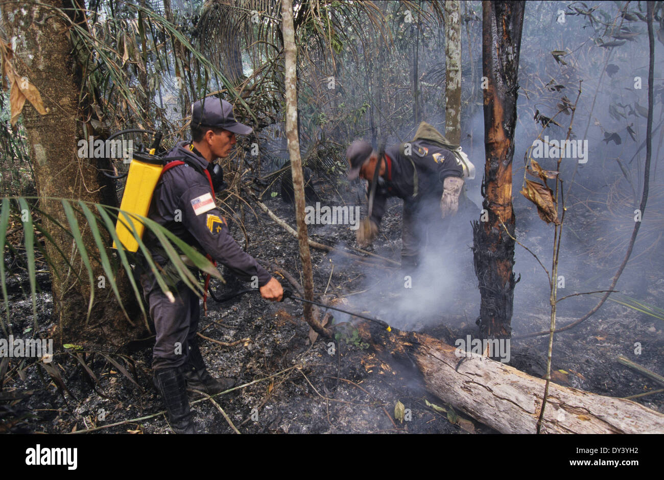 Emergency firefighting, evacuation and verification of the causes of ...