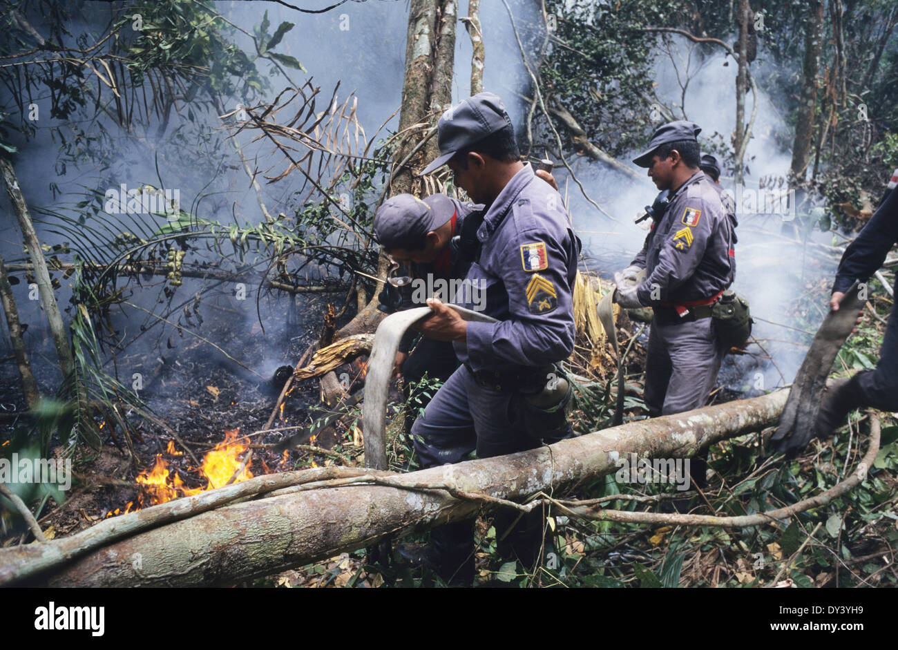 Emergency firefighting, evacuation and verification of the causes of ...