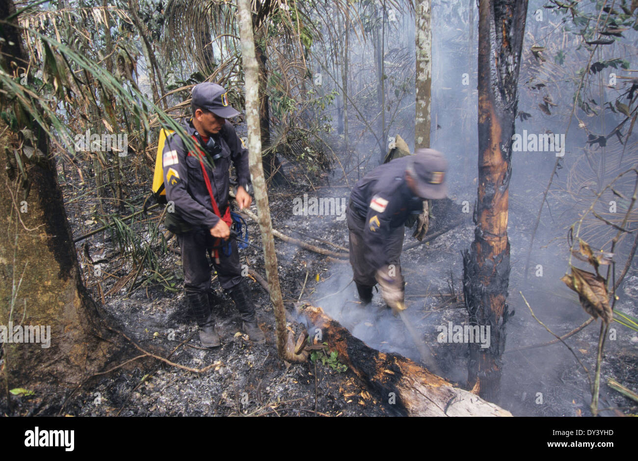Emergency firefighting, evacuation and verification of the causes of ...