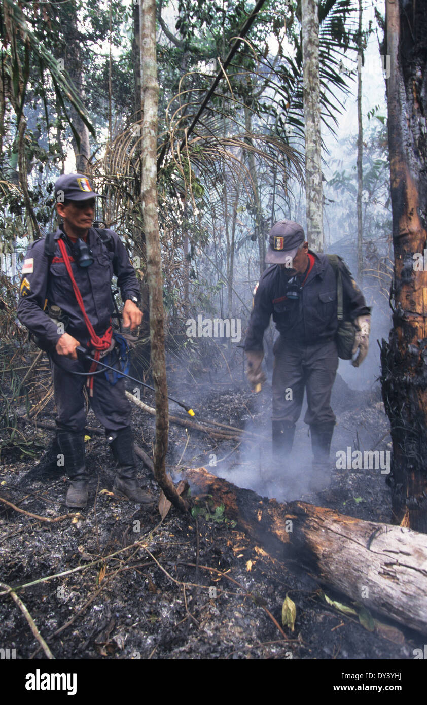 Emergency firefighting, evacuation and verification of the causes of ...