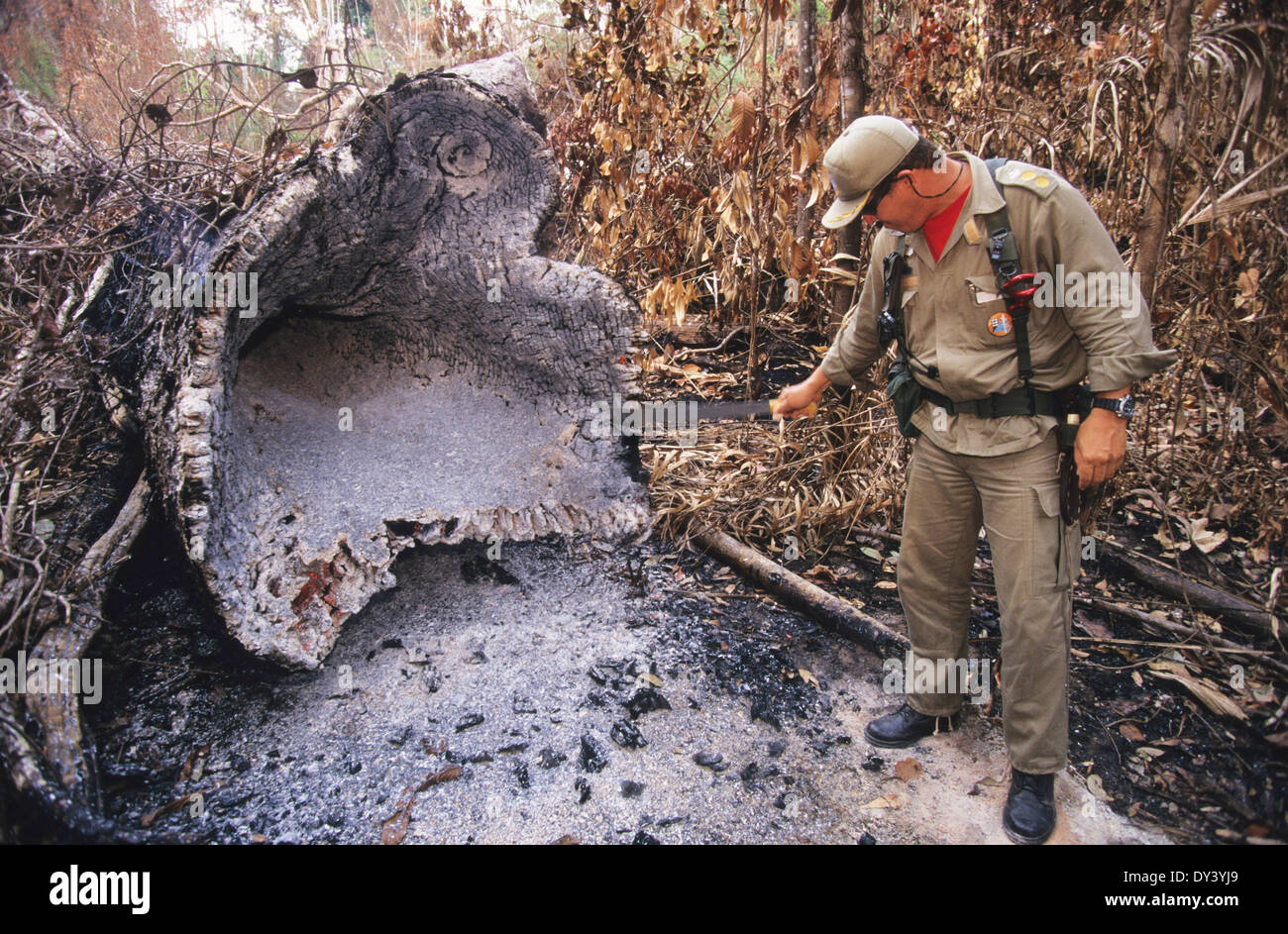 Emergency firefighting, evacuation and verification of the causes of ...