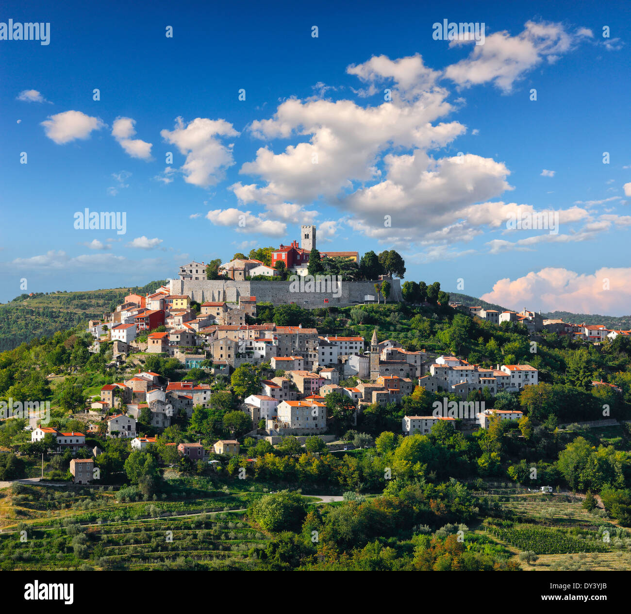 Croatia vineyard motovun hi-res stock photography and images - Alamy