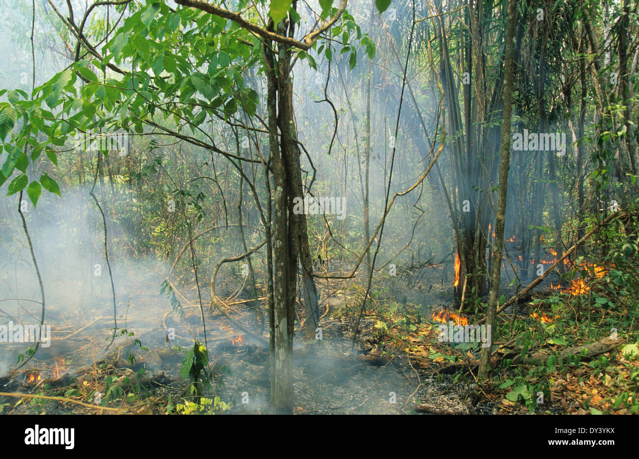 Niña amazonas hi-res stock photography and images - Alamy