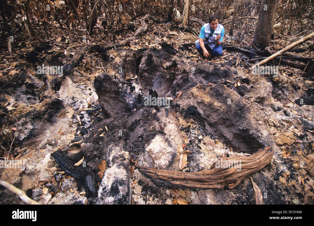 Emergency firefighting, evacuation and verification of the causes of ...