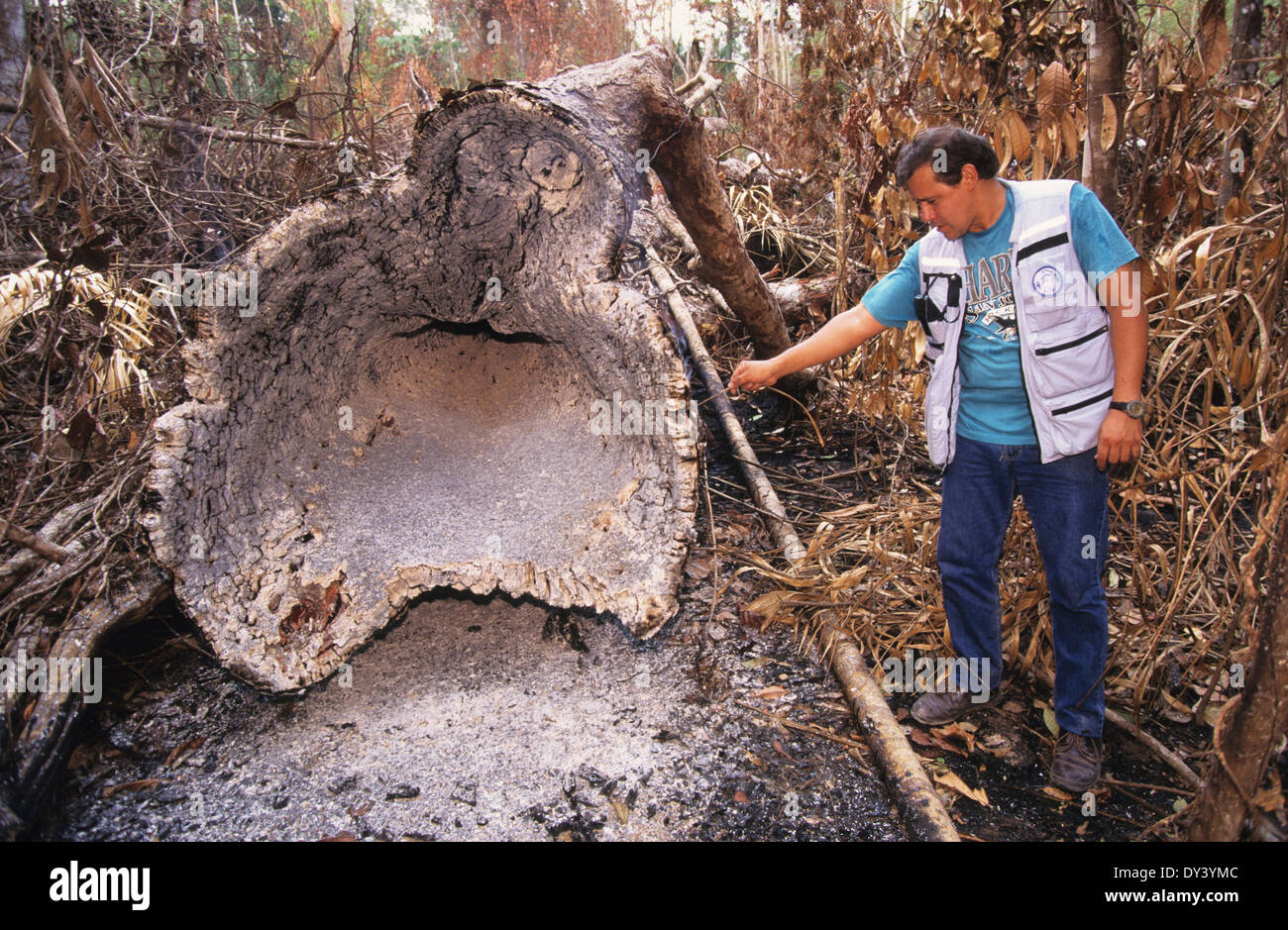 Emergency firefighting, evacuation and verification of the causes of ...