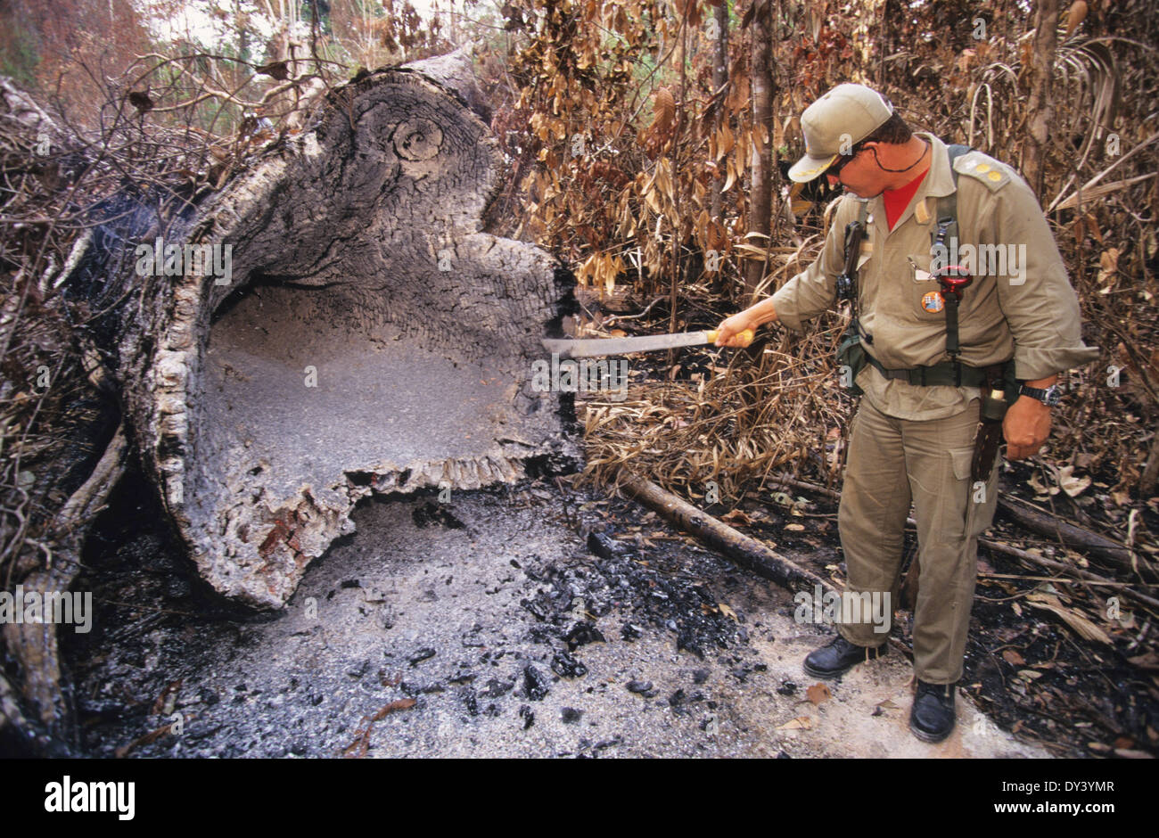 Emergency firefighting, evacuation and verification of the causes of ...