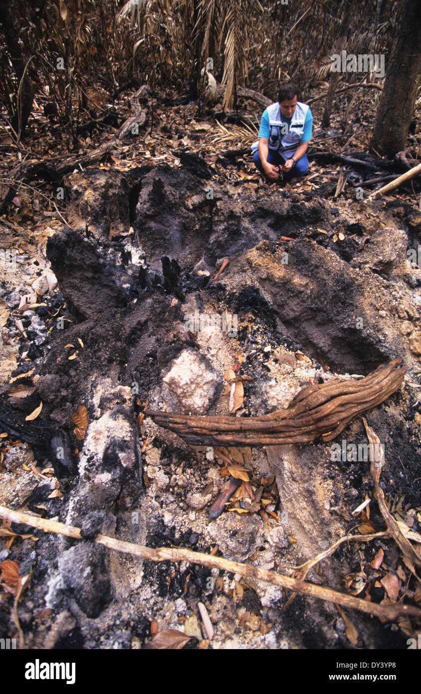 Emergency firefighting, evacuation and verification of the causes of ...