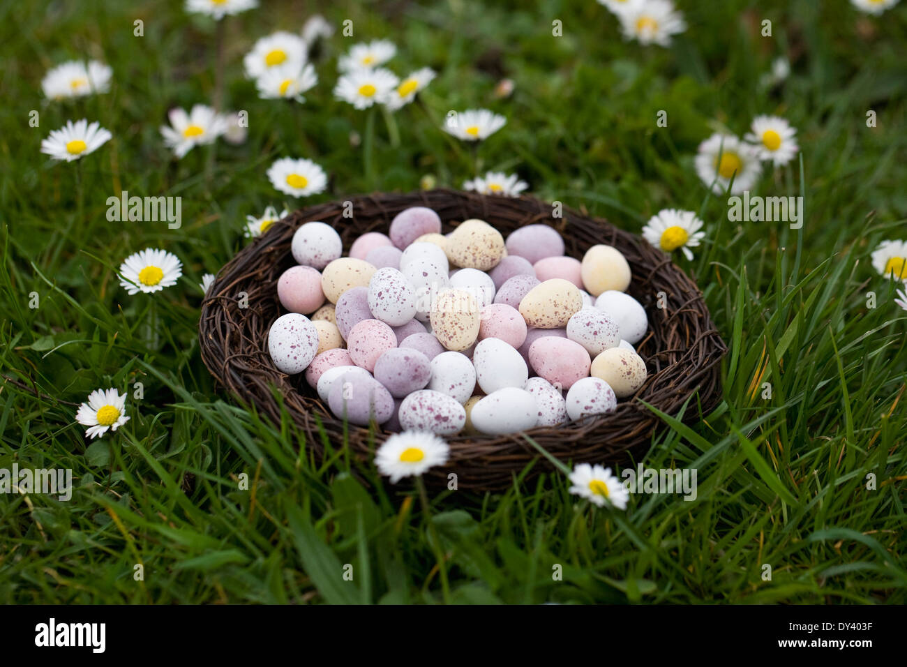 Easter mini egg nests hi-res stock photography and images - Alamy