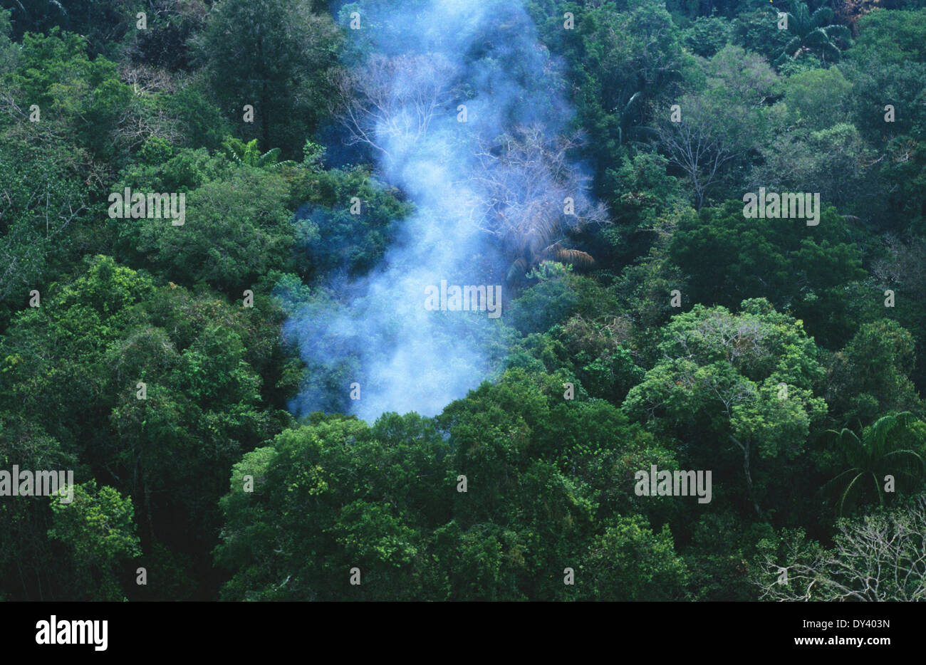 Rainforest fire dry season hi-res stock photography and images - Alamy
