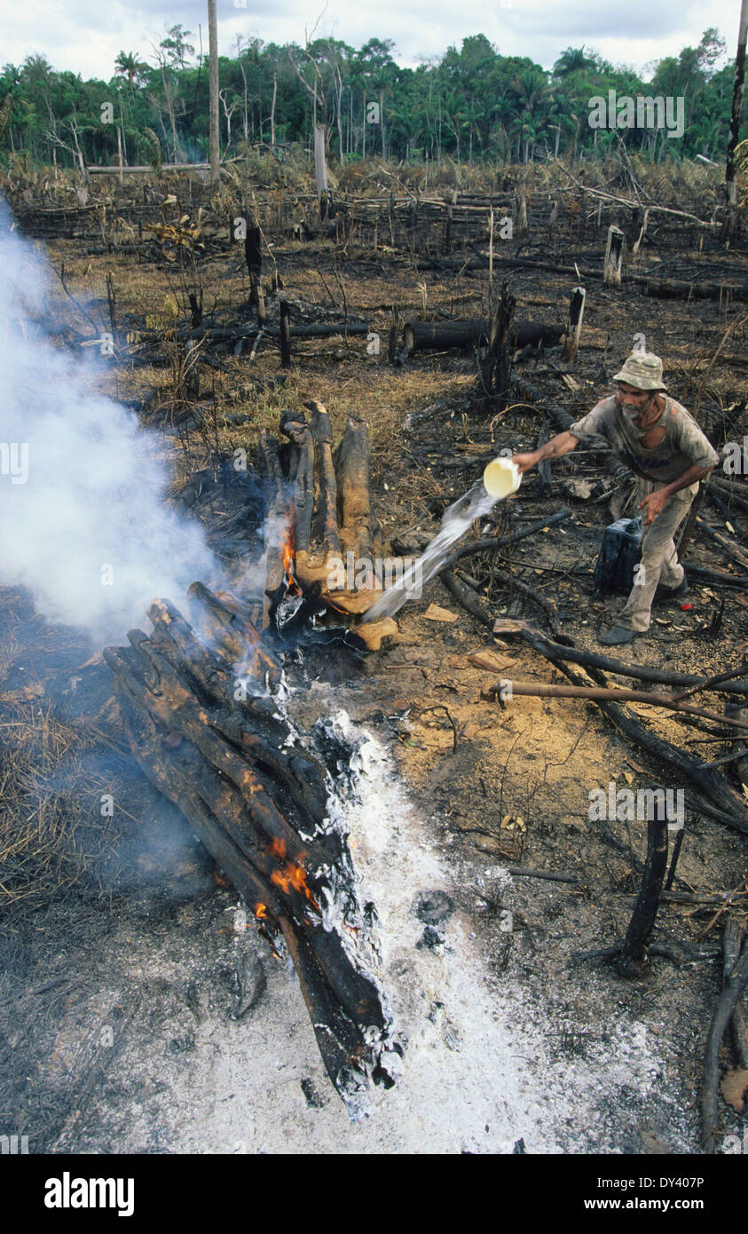 Rainforest deforestation hi-res stock photography and images - Alamy
