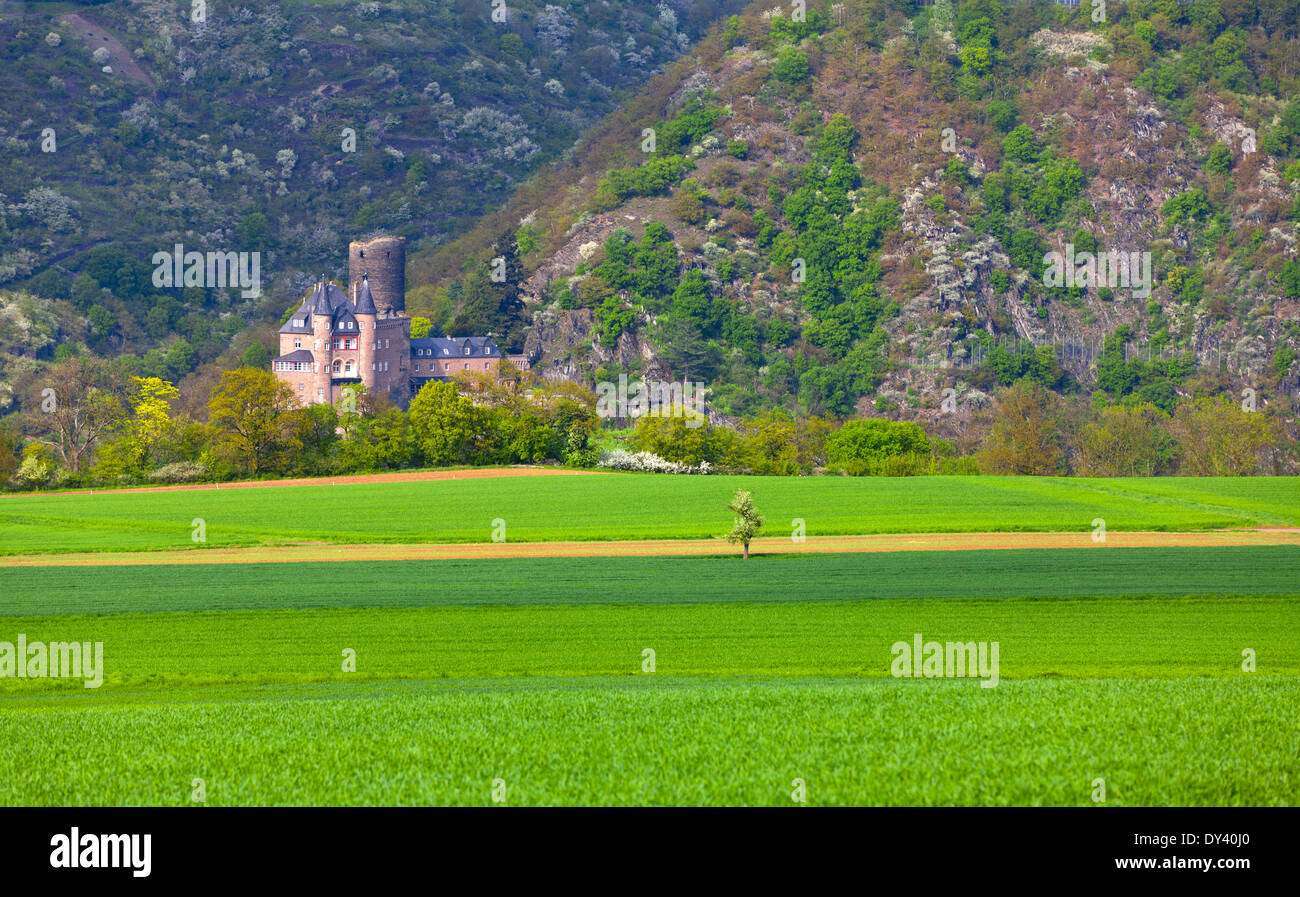 Views over fields and farmland to the historic Burg Katz castle on the ...