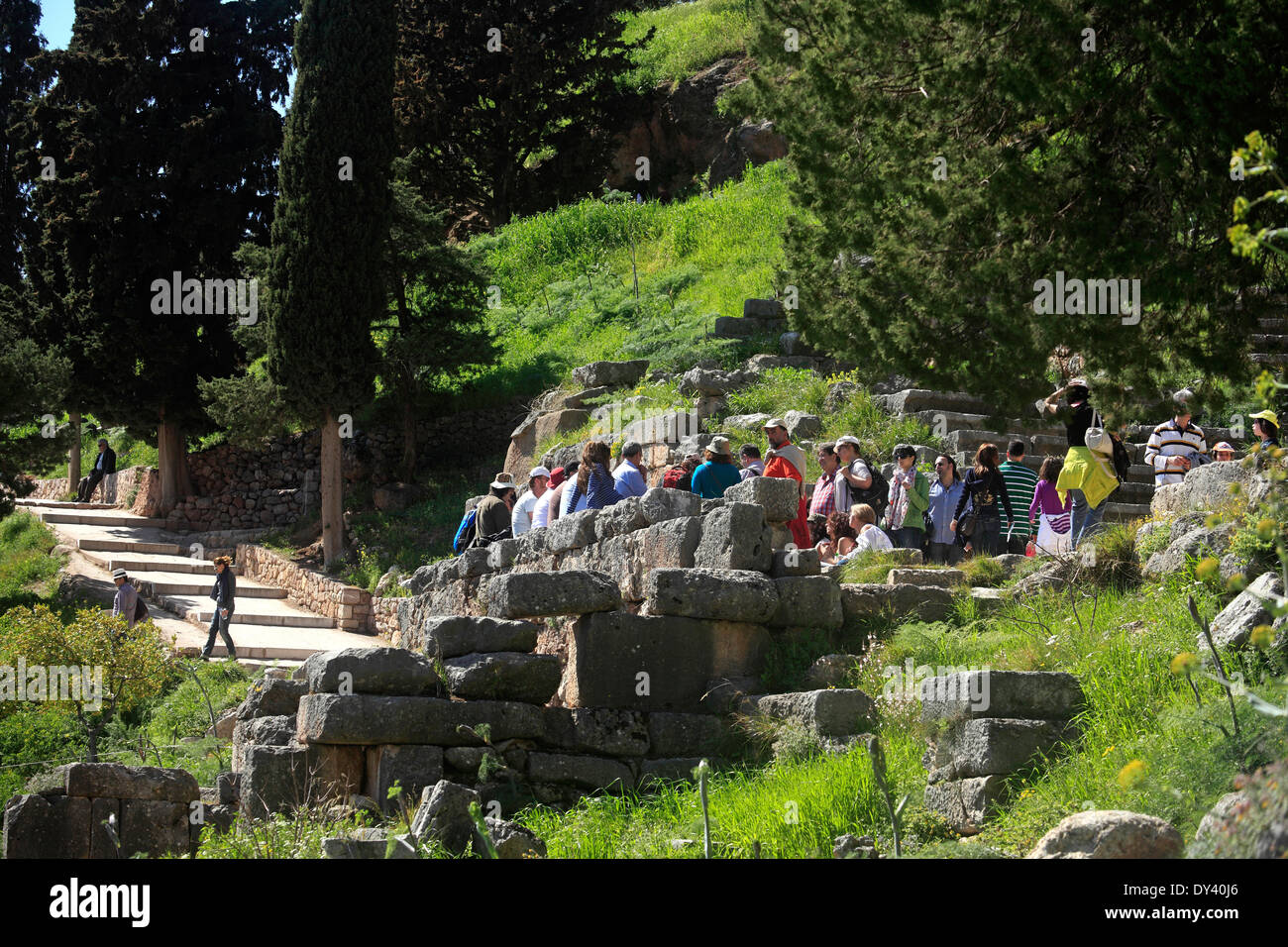Mount parnassus flowers hi-res stock photography and images - Alamy