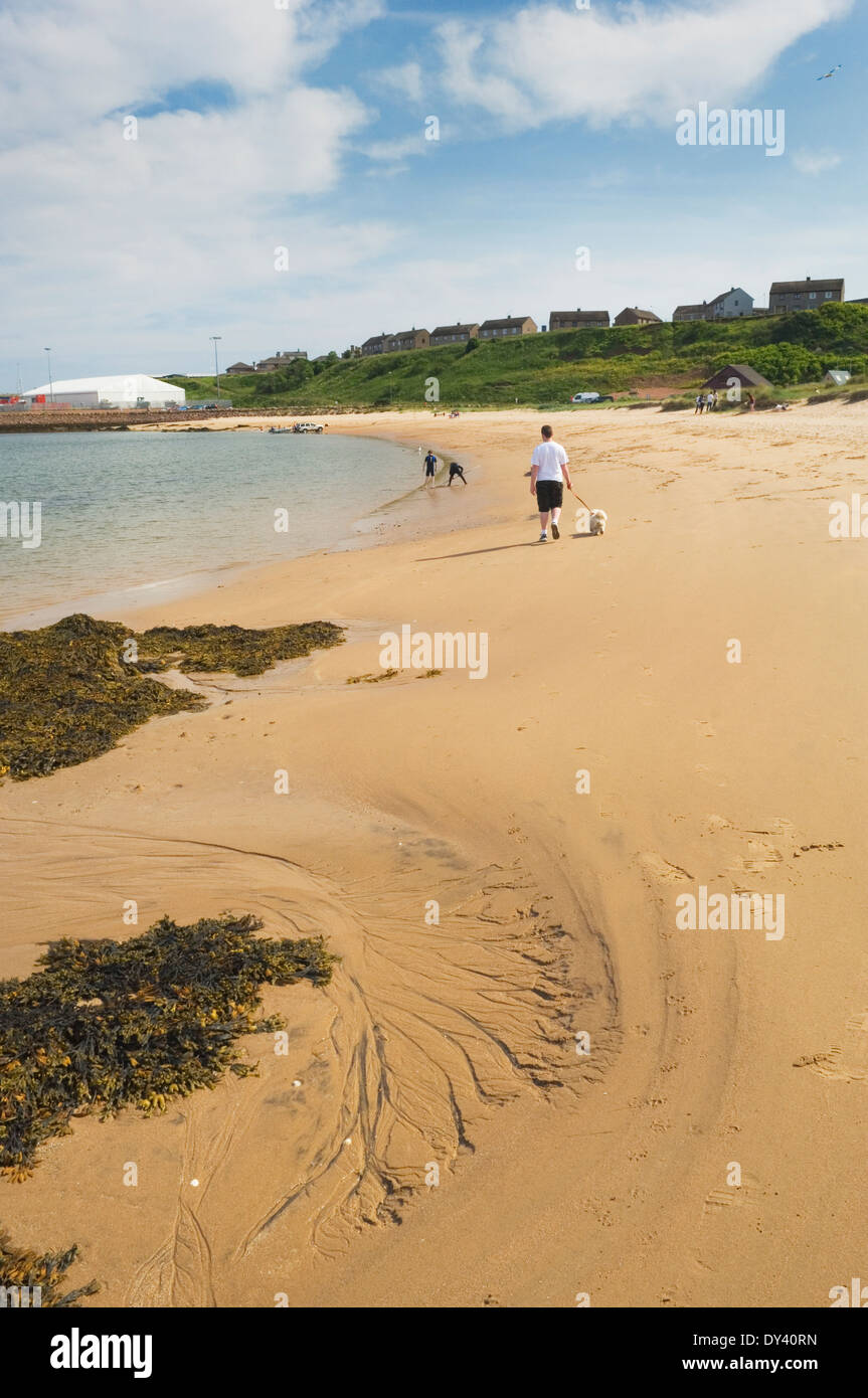 Peterhead hi-res stock photography and images - Alamy