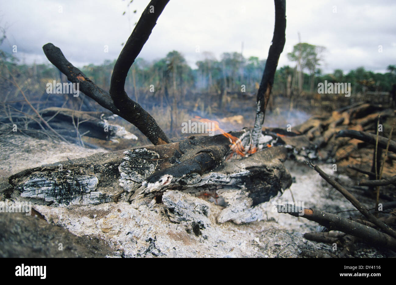Niño campesino hi-res stock photography and images - Alamy