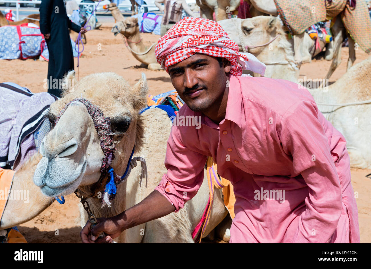 Camel racing festival at Al Marmoum camel racing racetrack in Dubai ...