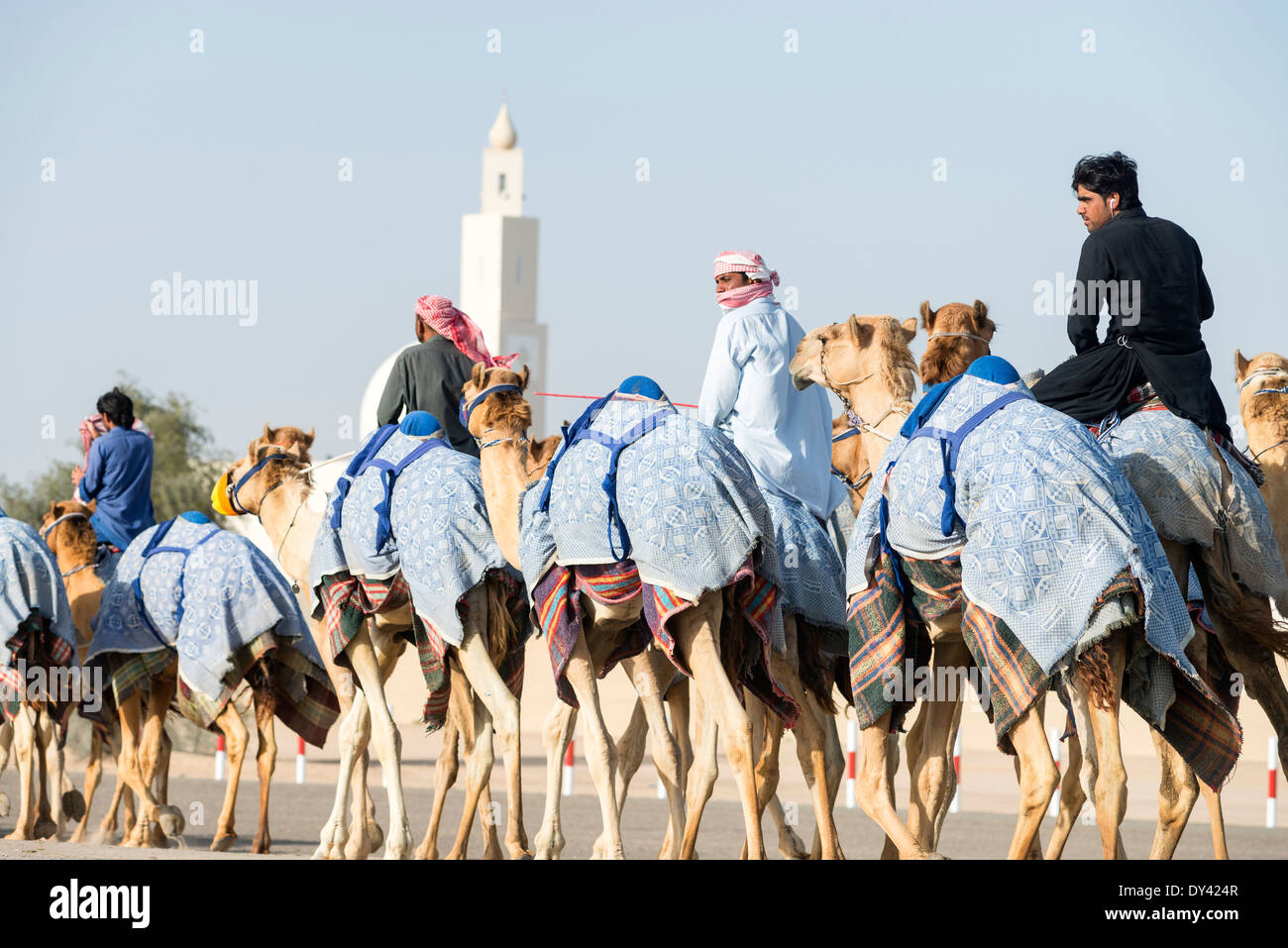 Camel racing festival at Al Marmoum camel racing racetrack in Dubai ...
