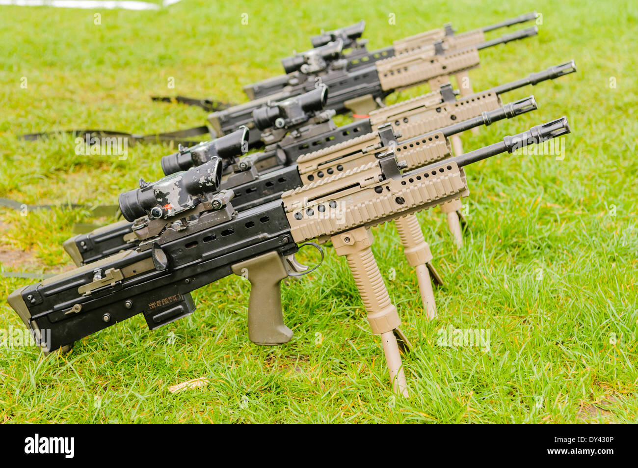 A row of British Army SA80 L85A2s sitting on grass Stock Photo - Alamy