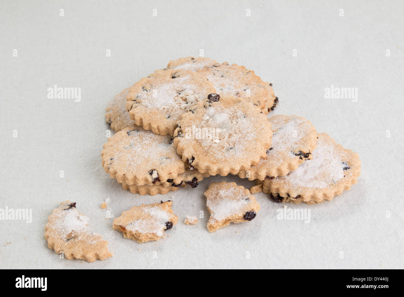 Garibaldi fruit biscuits/cookies with a broken biscuit in front on a ...