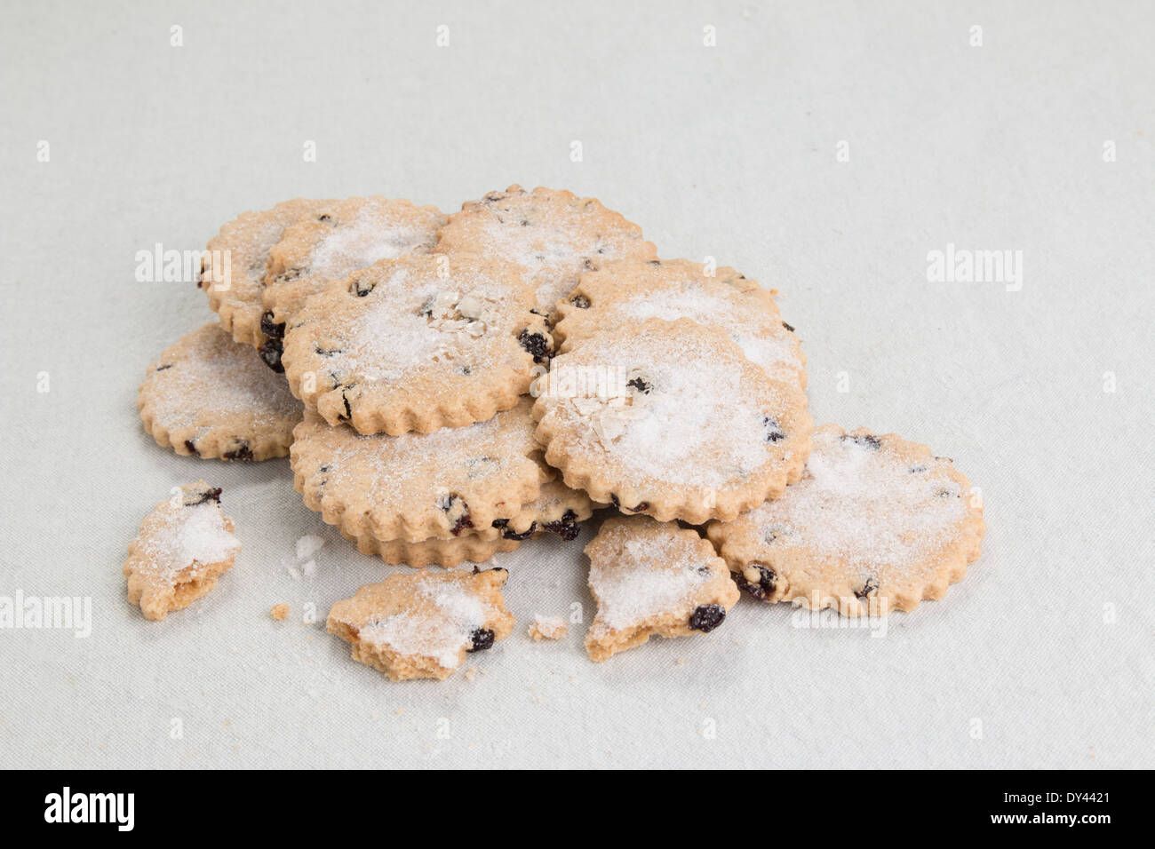 Garibaldi cookies/biscuits with a broken biscuit in front on a pale ...