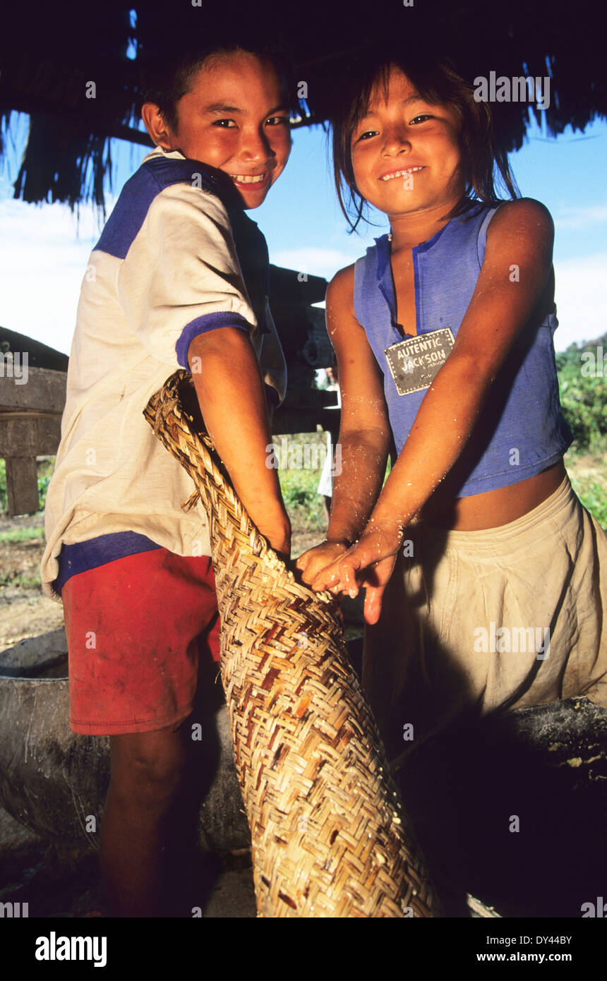 Macuxi indians preparing and cooking staple foods, cassava, maize flour ...