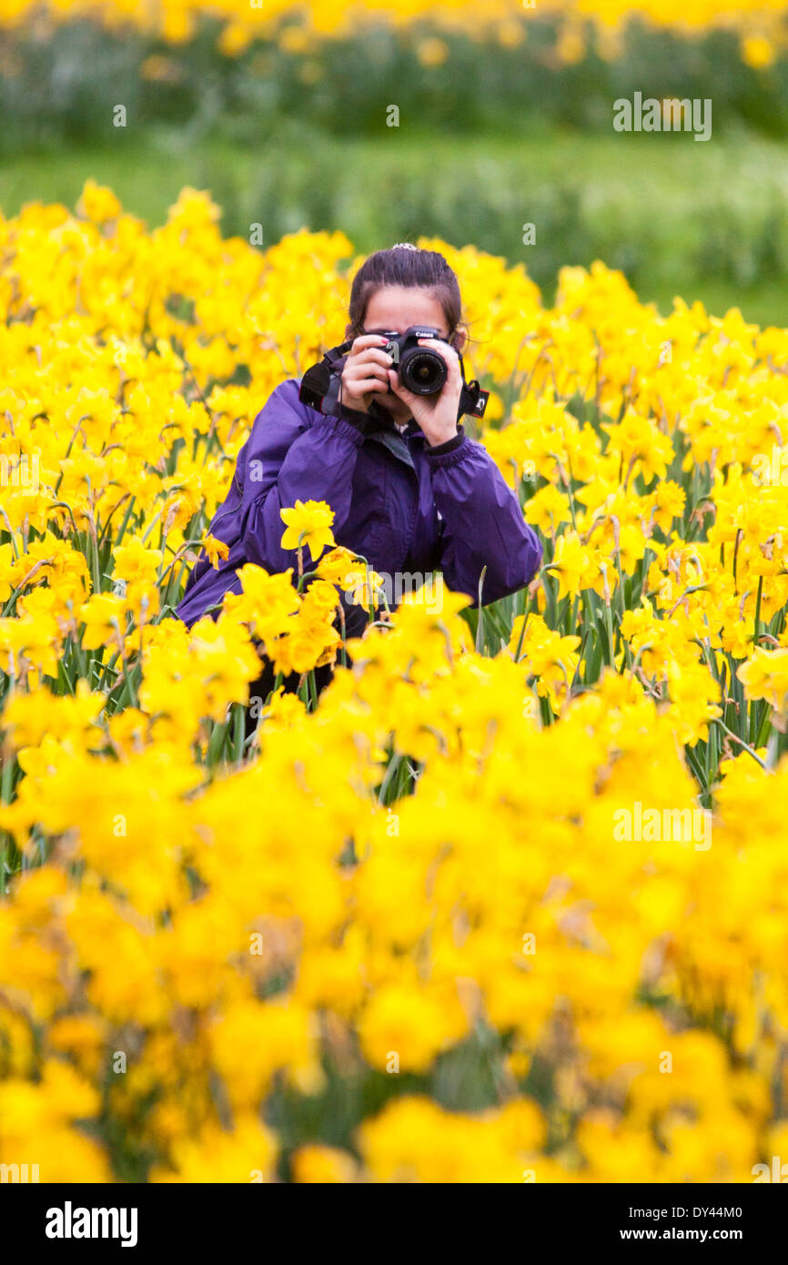 Stenning hi-res stock photography and images - Alamy