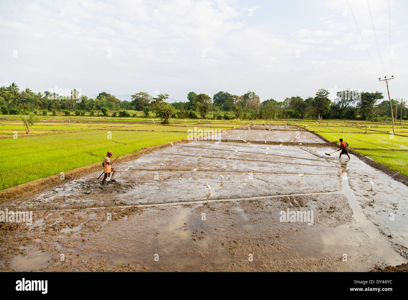 Traditional farmland hi-res stock photography and images - Alamy