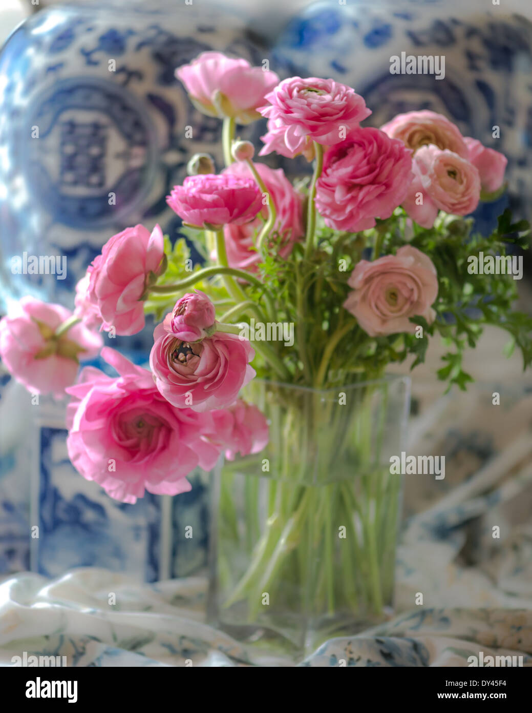 Ranunculus with blue and white china Stock Photo - Alamy