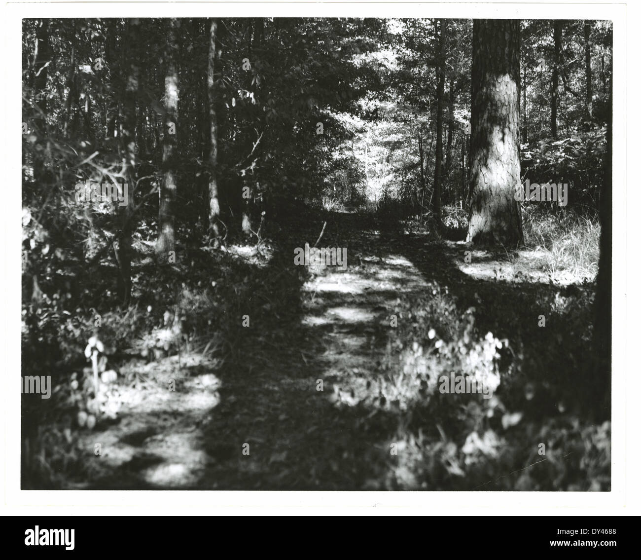 Downtown history Cut Out Stock Images & Pictures - Alamy