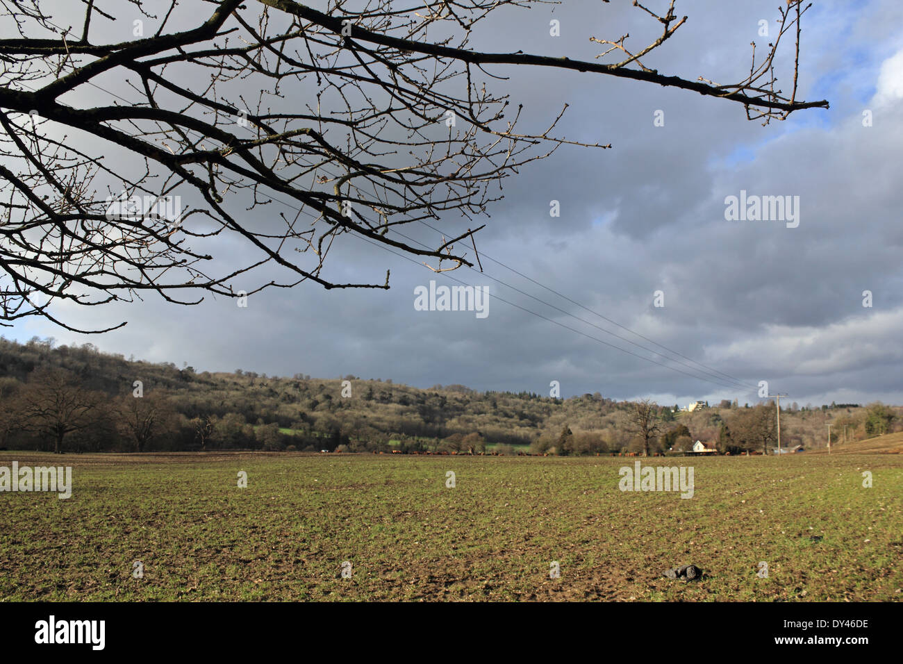 Surrey farm land hi-res stock photography and images - Alamy