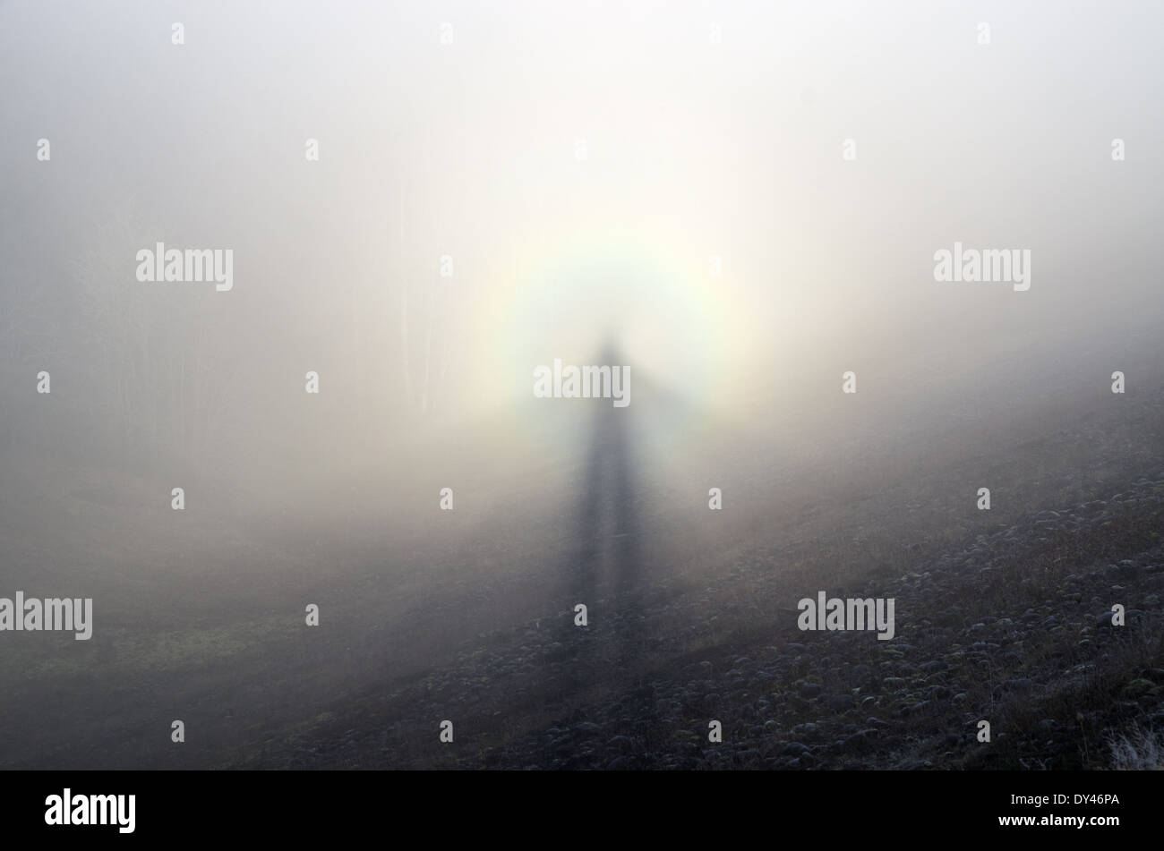 Spector hi-res stock photography and images - Alamy