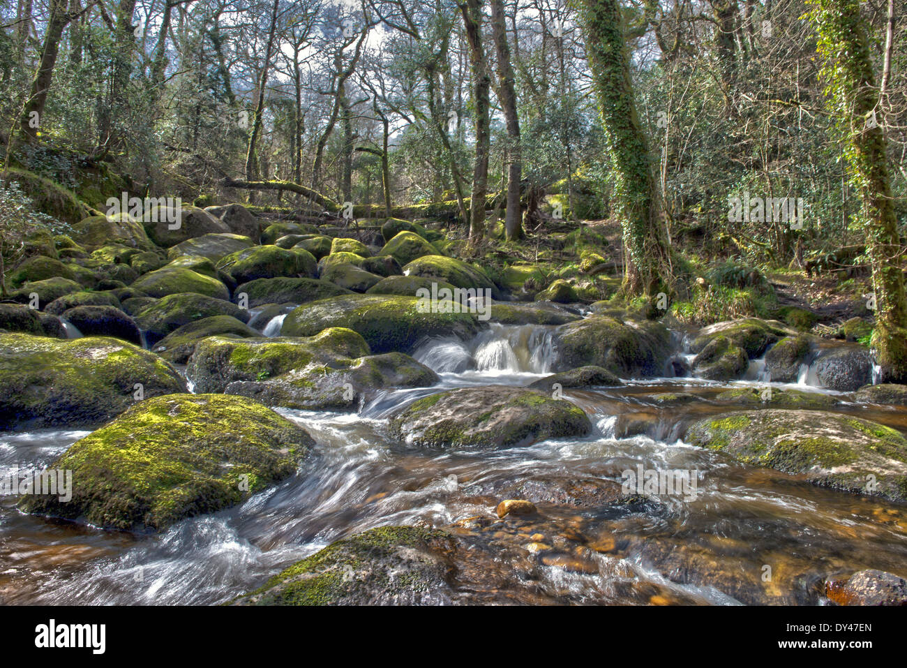 Becky Falls Woodland Park And Nature Trail, ( Becka Falls), Manaton ...