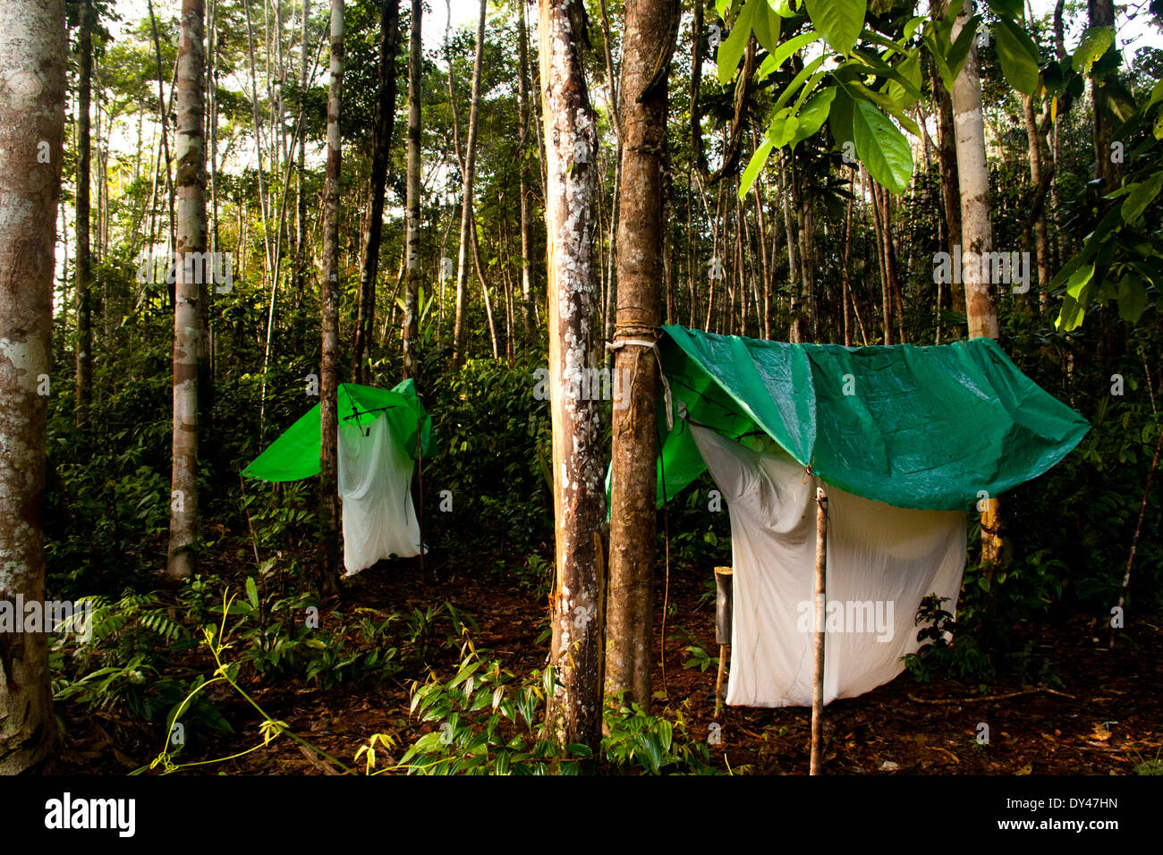 An explorer's camp in the Amazon rain forest Stock Photo - Alamy
