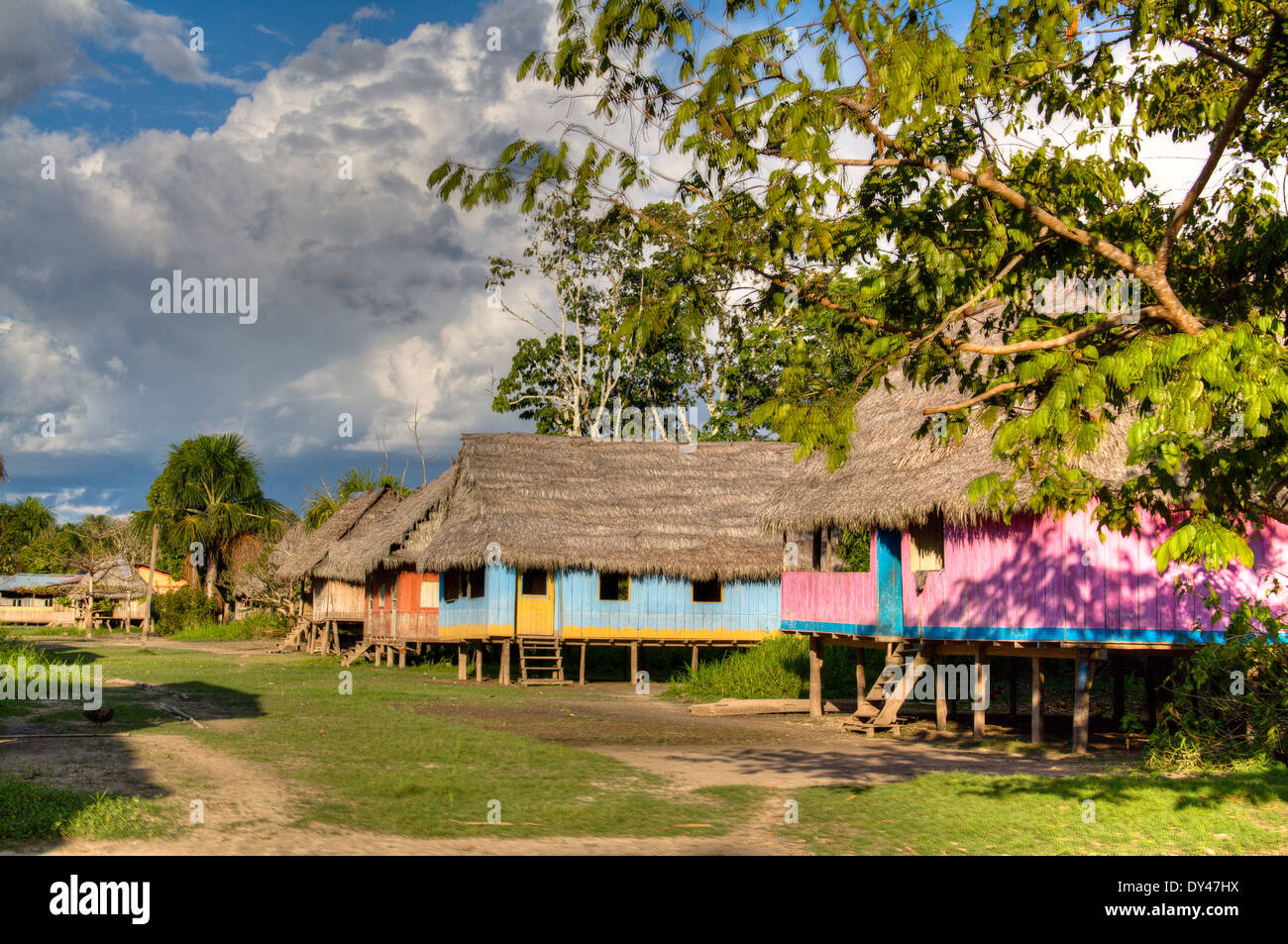 Iquitos amazon rainforest amazonia hi-res stock photography and images ...