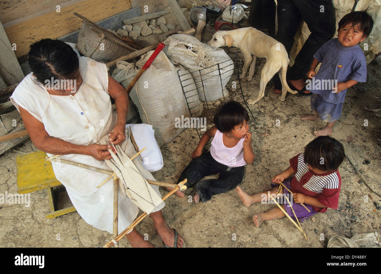Macuxi indians , grandmother weaving with family. Roraima Province ...
