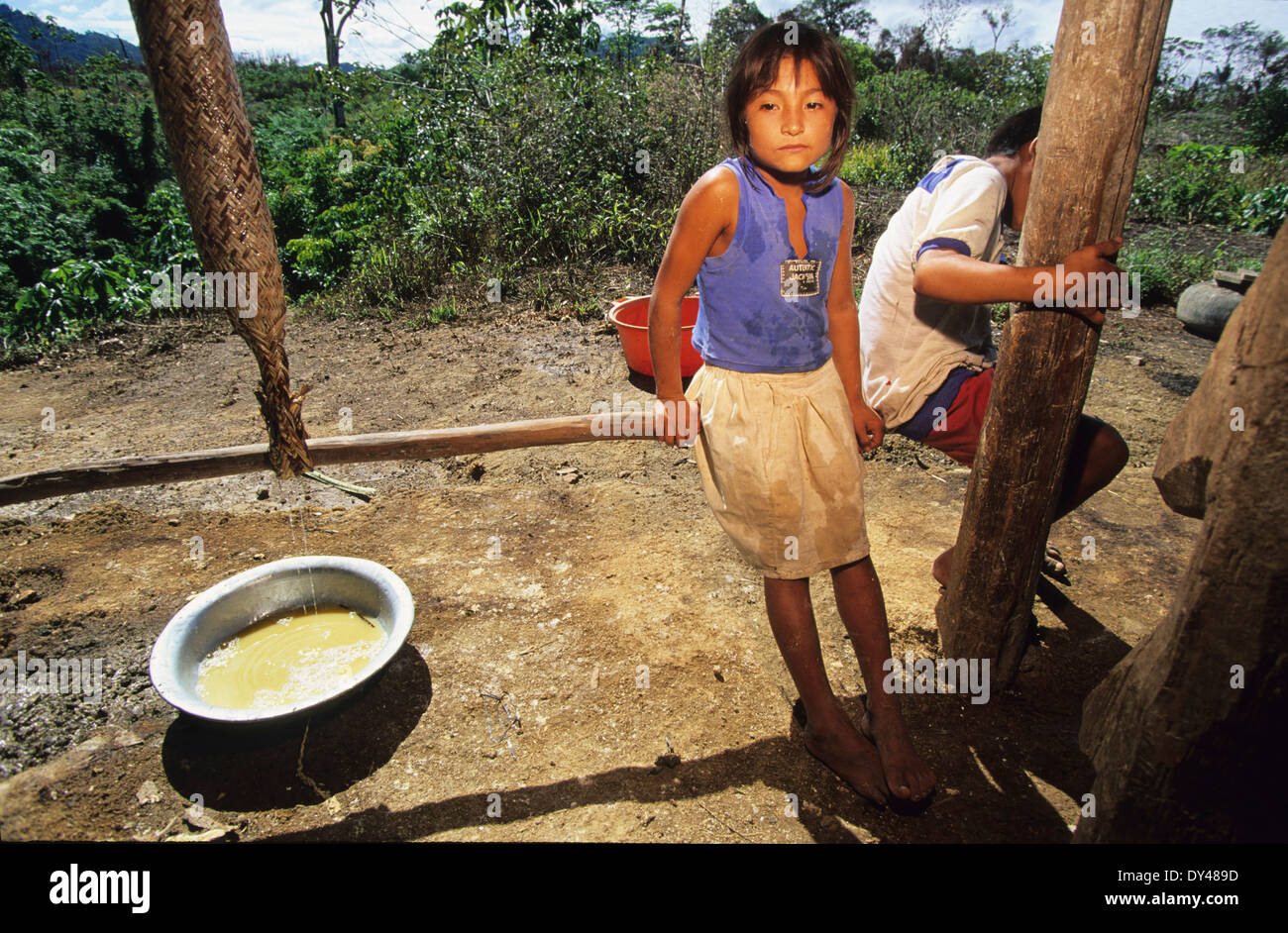 Macuxi indians preparing and cooking staple foods, cassava, maize flour ...