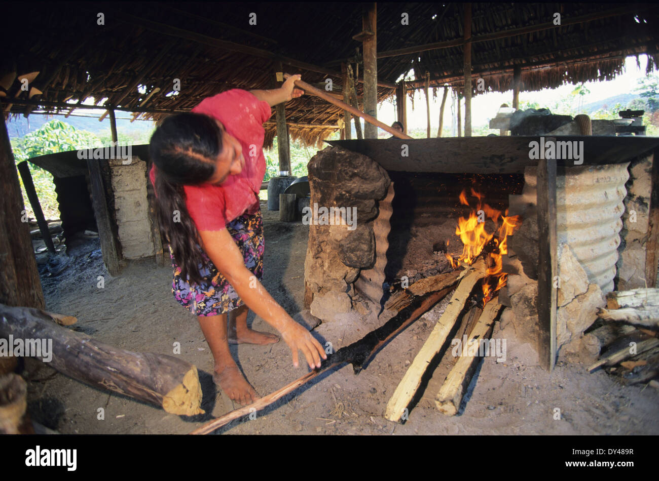 Macuxi indians preparing and cooking staple foods, cassava, maize flour ...