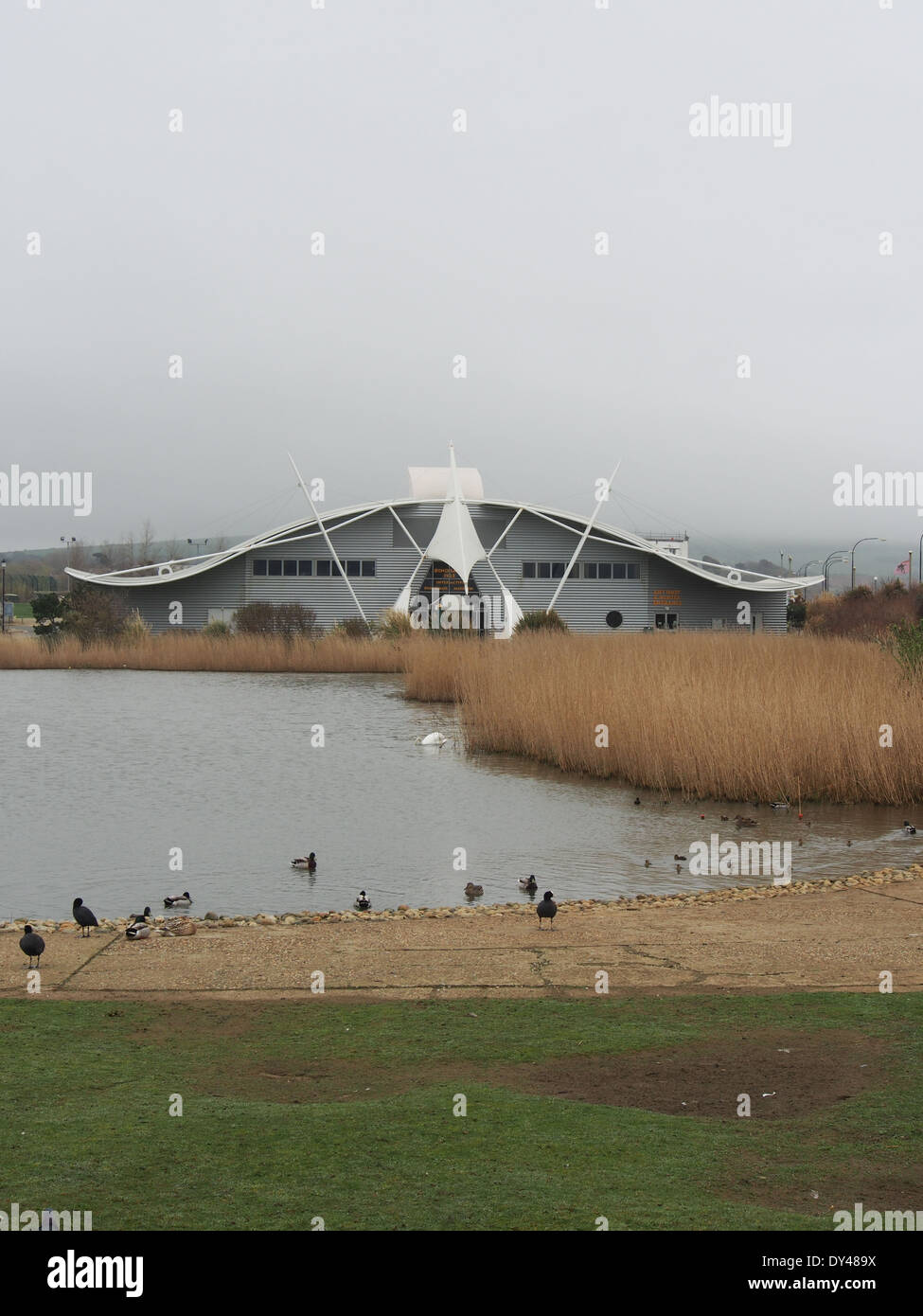 Dinosaur isle sandown hi-res stock photography and images - Alamy