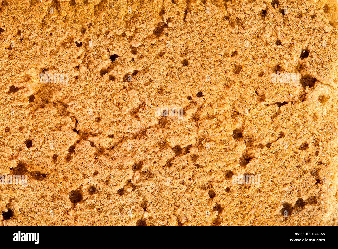 Brown sponge textured background Stock Photo - Alamy