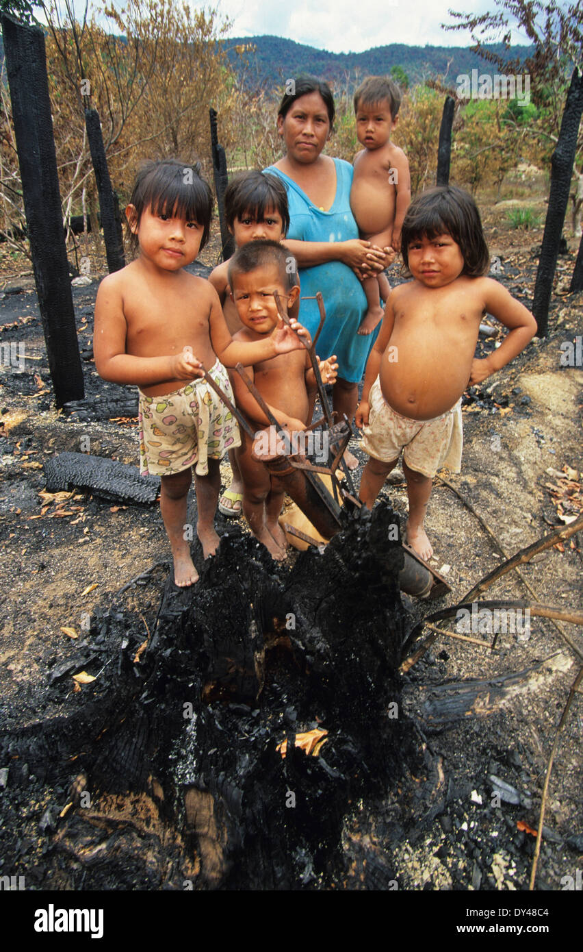 Macuxi indian family who lost their home in the forest fires ...