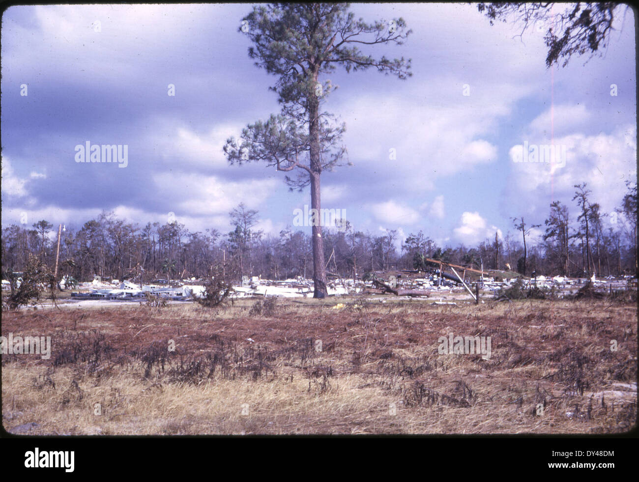 A panoramic view of downtown Jackson, Mississippi, from around 1914 ...