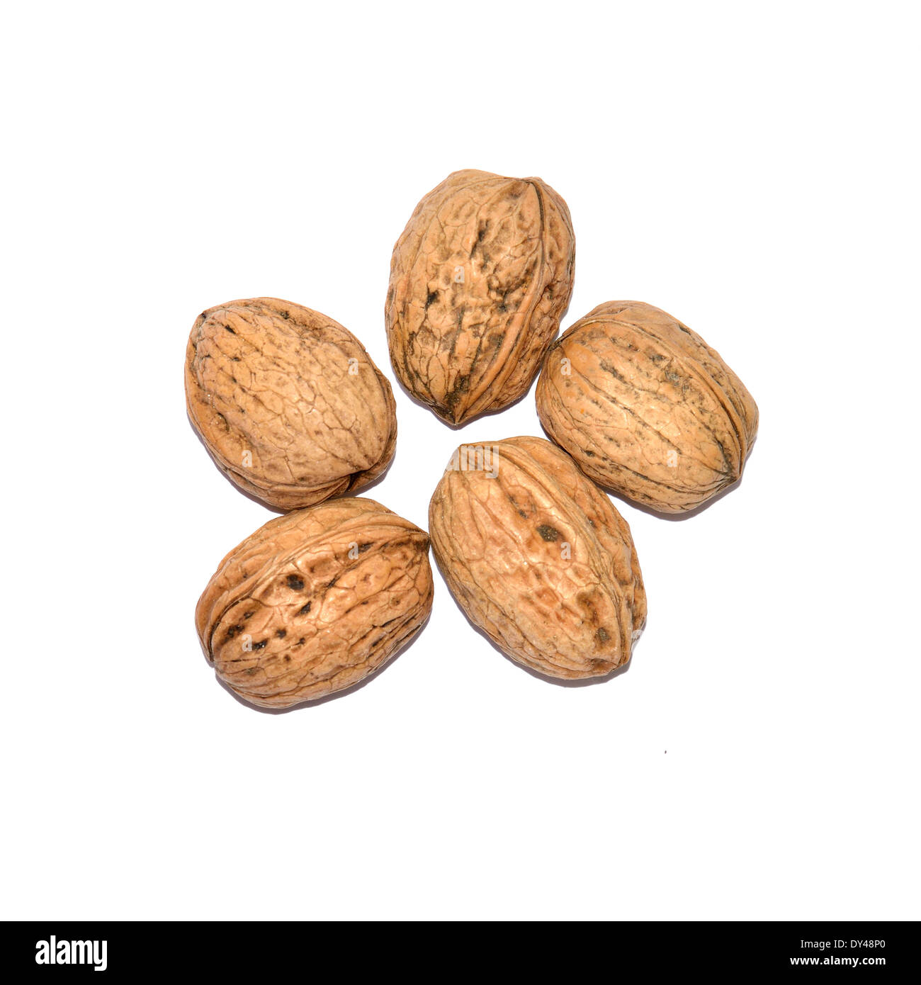 California activity Cut Out Stock Images & Pictures - Alamy