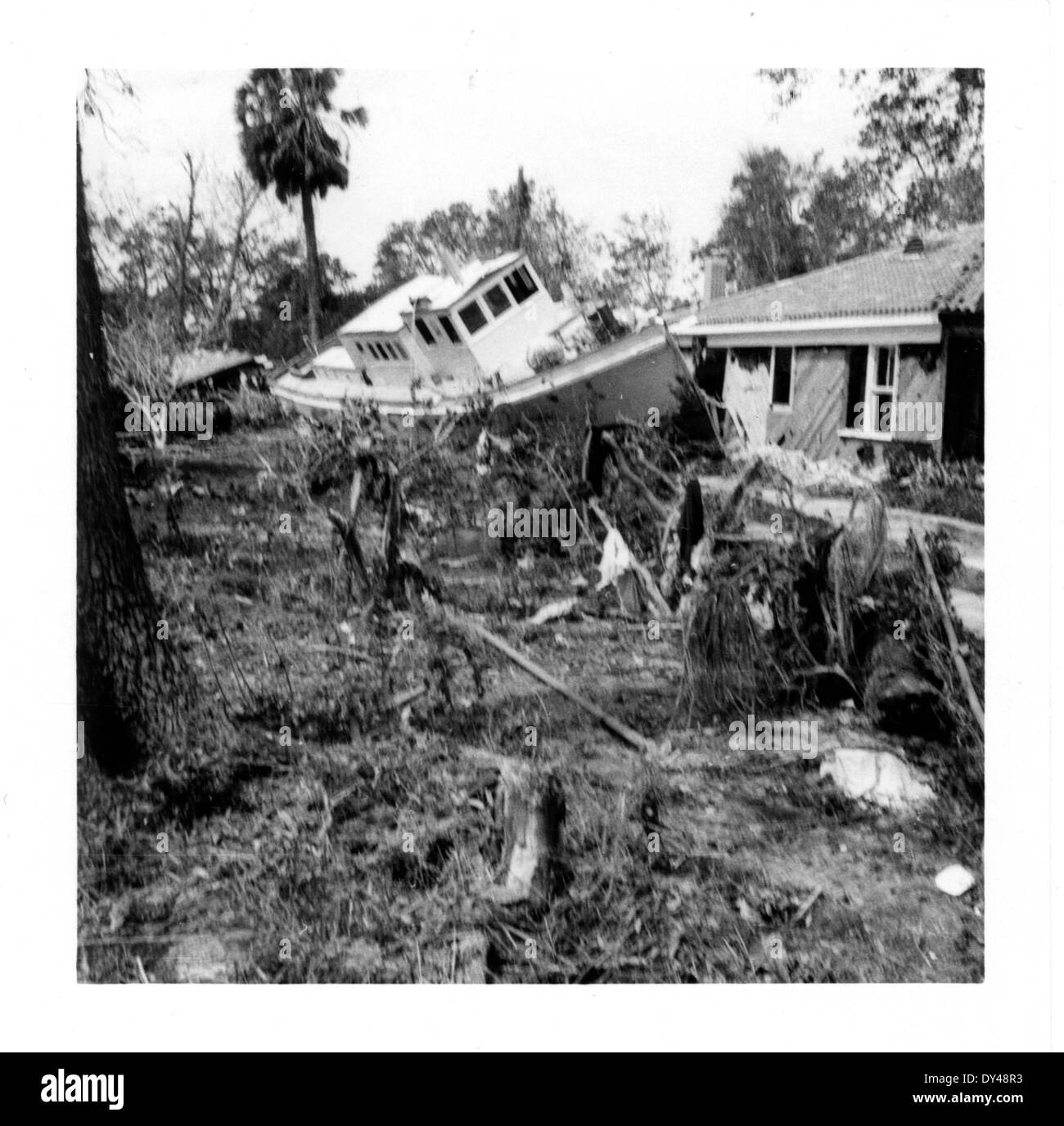 Jackson buildings Cut Out Stock Images & Pictures - Alamy