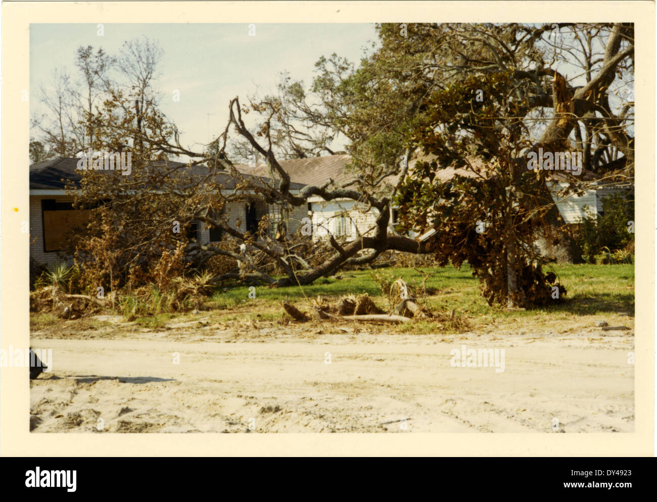 A historical panoramic photograph of downtown Jackson, Mississippi ...