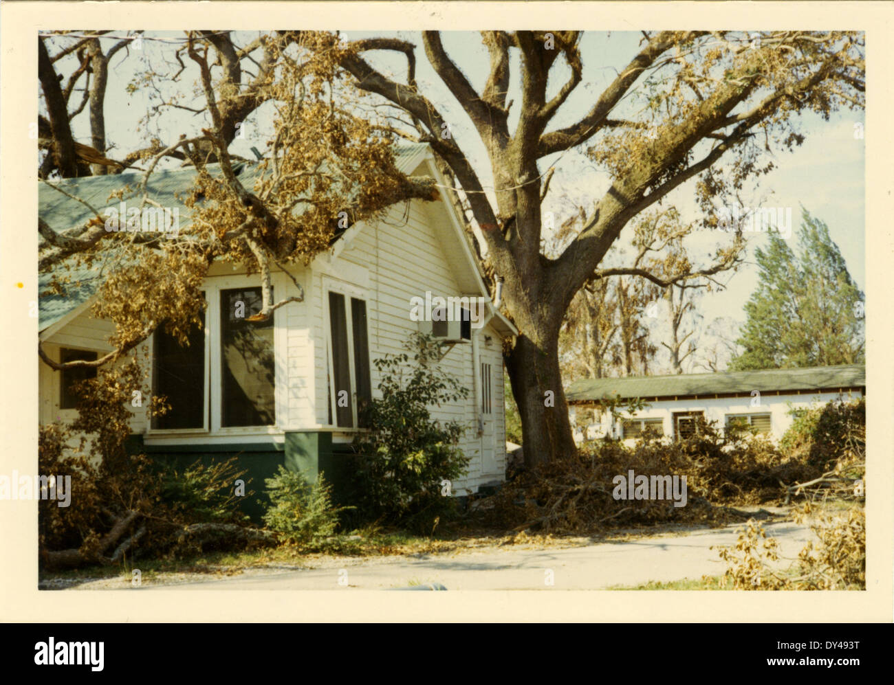 A panoramic photograph of downtown Jackson, Mississippi, taken circa ...